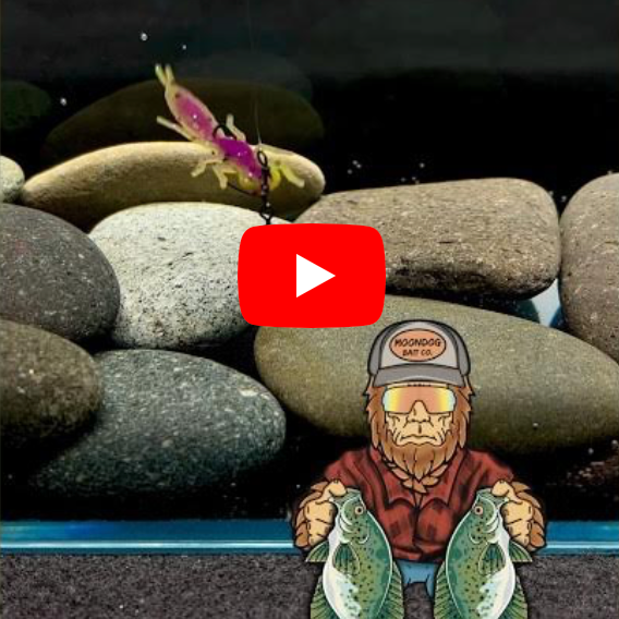 1.5" Dragonfly Larvae in Alien Junebug rigged on a 1/32oz micro jika r ...