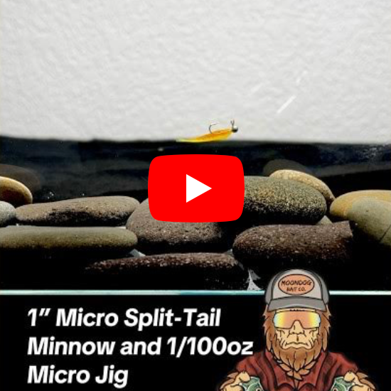 1" Micro Split-Tail Minnow in our Cajun Color – Moondog Bait Co