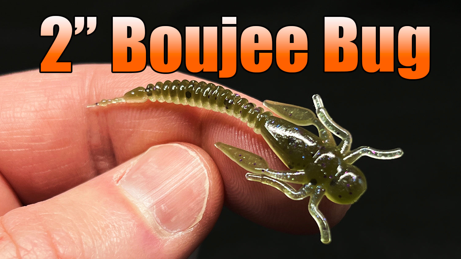 2" Boujee Bug - Great Realistic Insect Bait for Panfish, Crappie, Trou ...