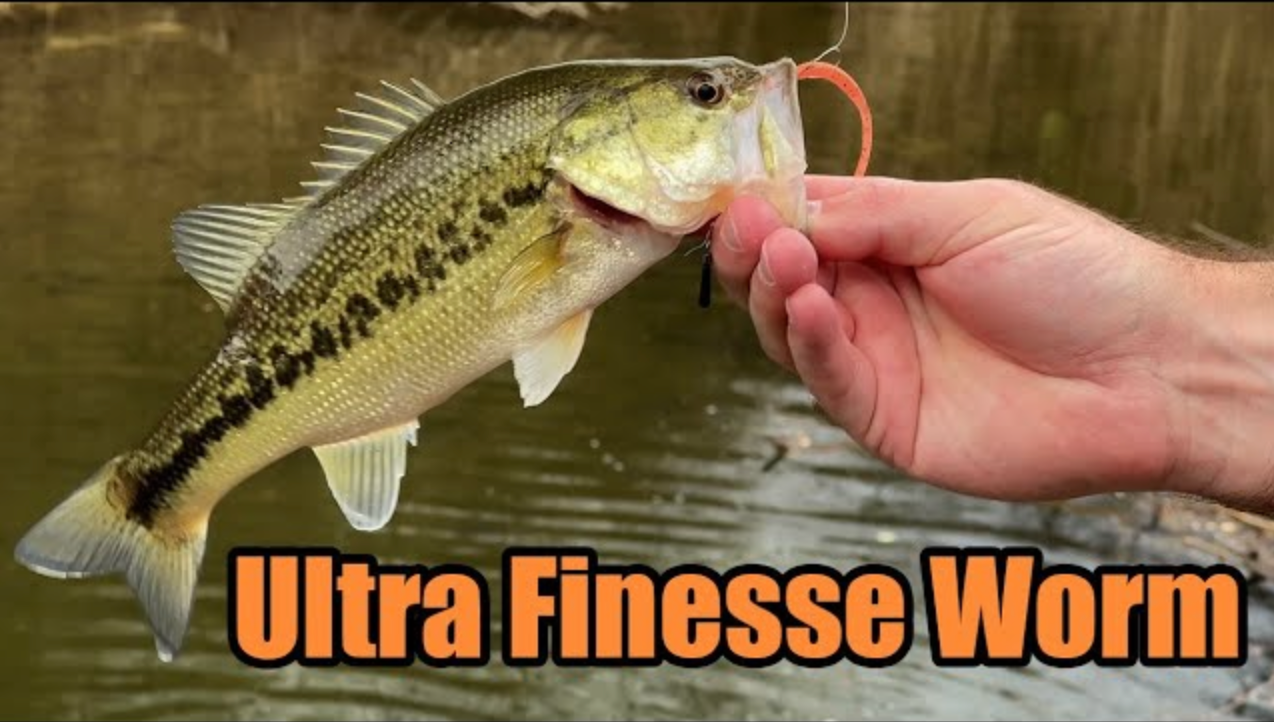 Fishing The Ultra Finesse Worm – Moondog Bait Co
