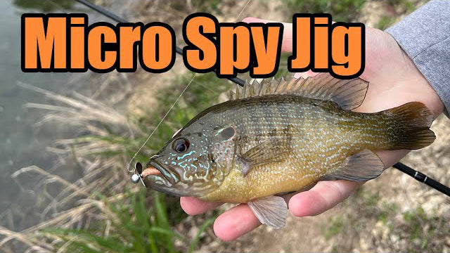 Micro Spy Jig Video – Moondog Bait Co