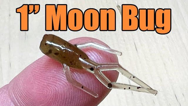 Moon Bug - 1" Micro Soft Plastic Fishing Bait for Bluegill & Crappie ...