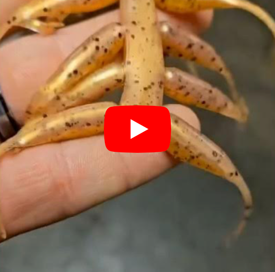 New Fireball Color – Moondog Bait Co